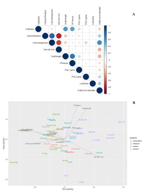 Pearsons Correlation Coefficient A And Principal Component Analysis