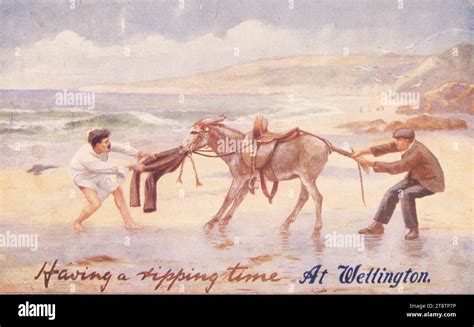 Postcard Having A Ripping Time In Wellington New Zealand Ca 1910