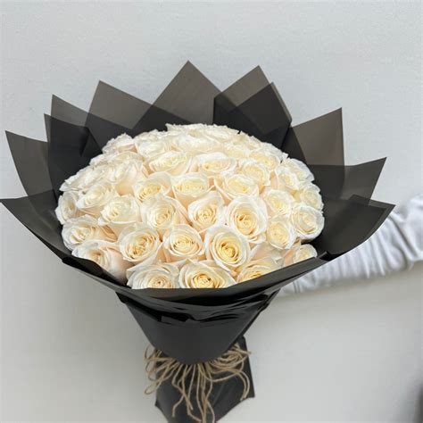 50 White Rose Bw Mayfair