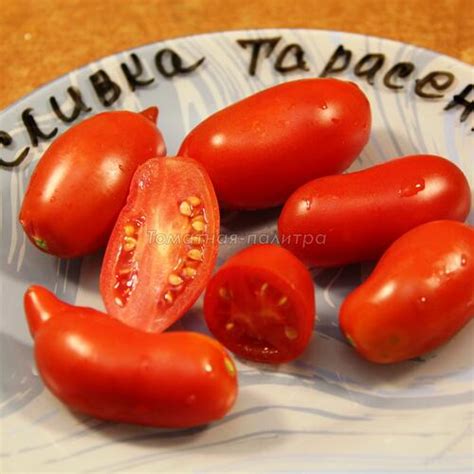 Засолочные сорта томатов - Томатная палитра