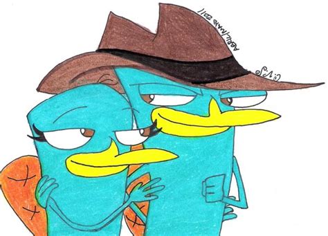 Platypus Reproductive Behavior