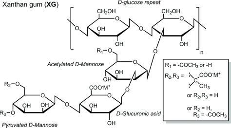 Xanthane Structure