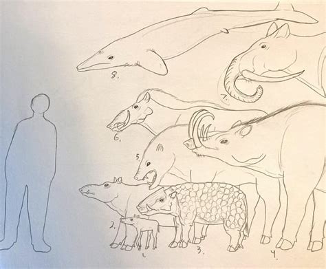 Spectember Day 11 Speculative Bertology R Speculativeevolution