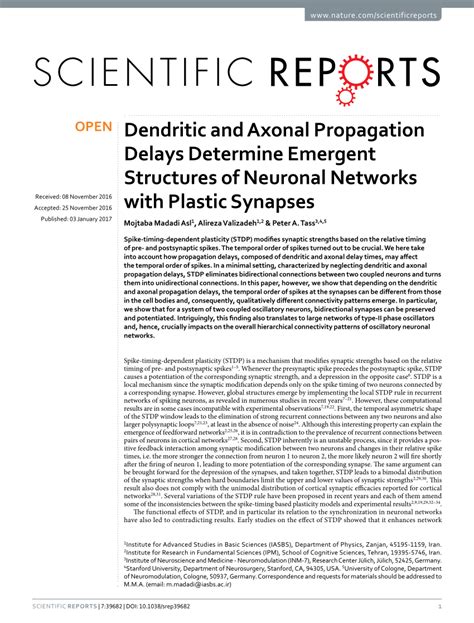 Pdf Dendritic And Axonal Propagation Delays Determine Emergent Structures Of Neuronal Networks
