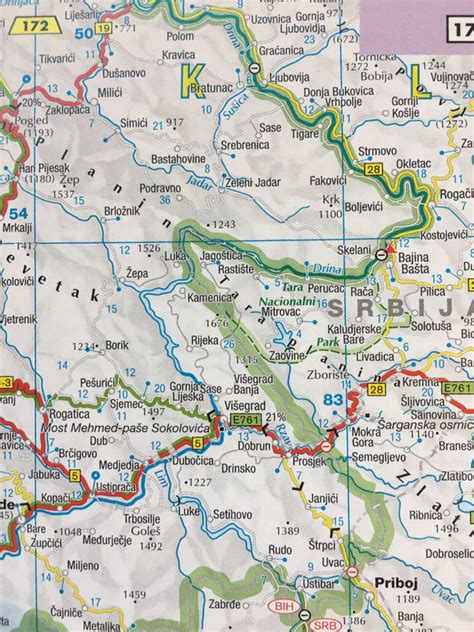 Picea Omorika Pendula Bruns — Foggy Bottom Garden