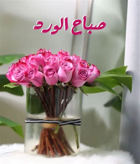 صباح الورد Good Morning Flowers Good Morning Greetings Good Morning