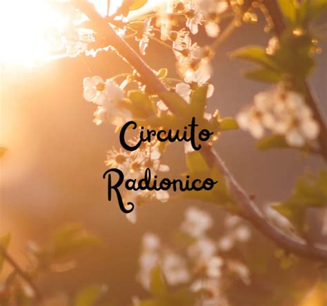 A Radionic Circuit Is A Design Containing Geometric Shapes That Can Be