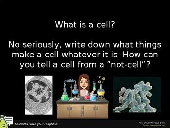 Cell Structures And Functions Presentation By Emily Reppart TPT