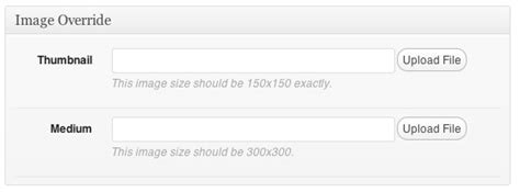 Image Override Plugin Bill Erickson