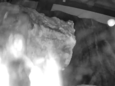 Norbert Goes Thunk Album On Imgur