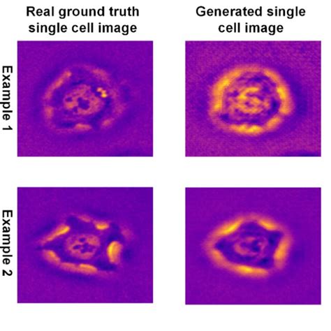 Two Examples Of Pixel Heatmap Representation Comparing The Real With