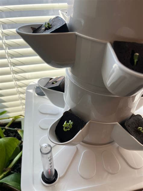 Bridgit Brown Bridgit Brown Added A New Photo