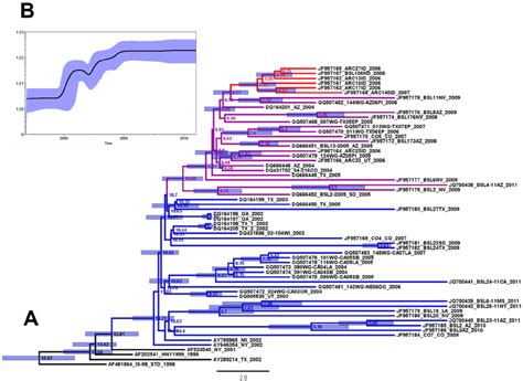 Maximum Clade Credibility Tree From Bayesian Analysis Of Us Download Scientific Diagram