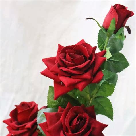 خرید و قیمت یک شاخه گل رز قرمز طبیعی از غرفه خرّم رز 🌹