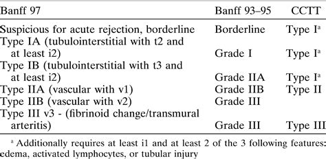 The Banff 97 Working Classification Of Renal Allograft Pathology