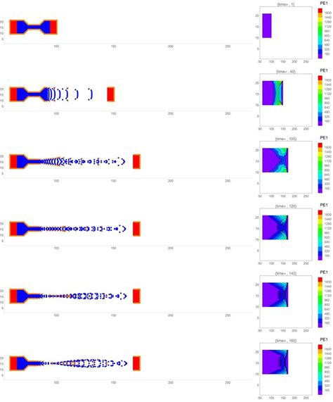 Figure28 Astm Tensile Test Rectangular Centred Lattice With Poisson