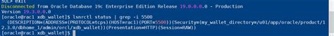 oracle19c启用em管理器 19c em csdn博客