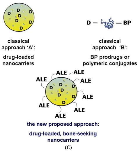the possible strategies for selective delivering bioactive compounds to