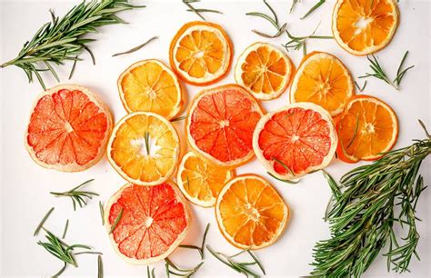 비타민c 효능 과학적으로 입증된 7가지 이점 건강덕후