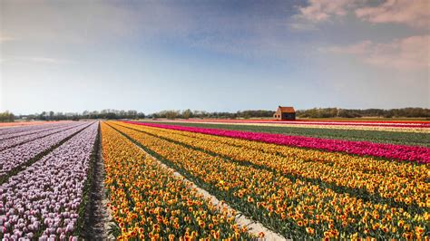 Nproc Bitkisel Ekstrakt Üretim Süreci Hammaddeden Kalite Kontrol