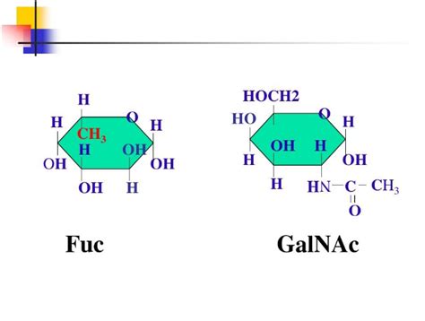 糖蛋白 快懂百科