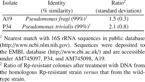 Putative Transformable Endophytic Isolates From Potato Plants Download Table
