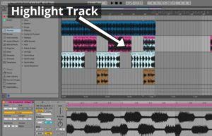 Ableton Normalize Step By Step Tutorial