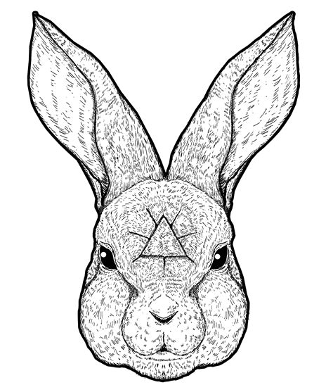 Error Cant Load Image X Failed To Parse Url From X · Issue 244 · Vercelog Image · Github