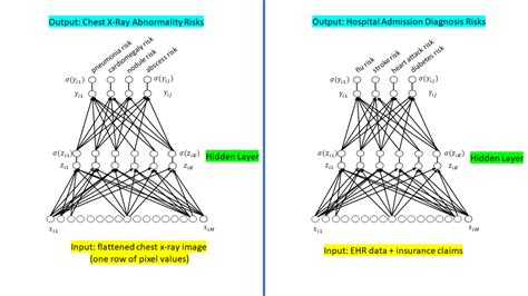 Multi Label Vs Multi Class Classification Sigmoid Vs Softmax Glass Box