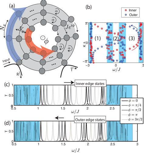 A Cylinderannulus Topology The System Is Under A Uniform Magnetic