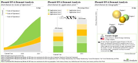 시장보고서 플라스미드 Dna 제조 시장 사업 규모별 플라스미드 Dna 등급별 응용 분야별 치료 분야별 최종사용자별