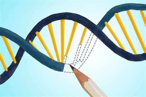 Cutting Edge Crispr Princeton Researchers Develop A More Precise Gene
