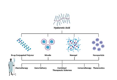 Different Formulations Of Ha Based Nanomaterials And Their Possible