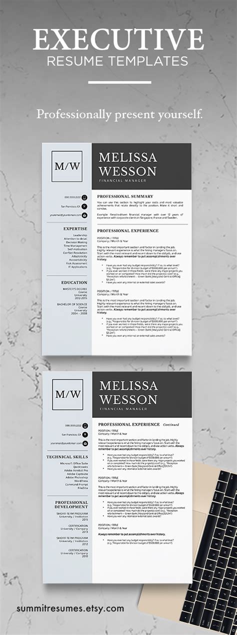 Executive Resume Templates Microsoft Word