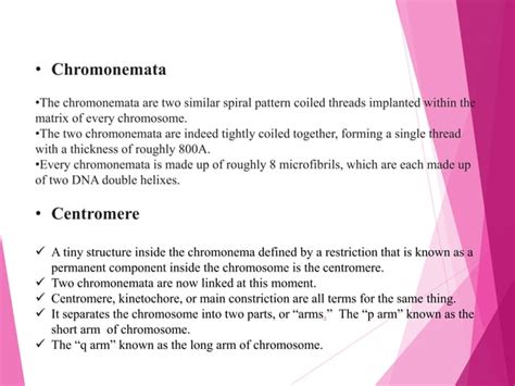 Chromosome Structure Types And Functionpptx