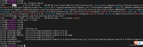 若依框架（前后端分离）打war包部署到linux 若依打war包 csdn博客