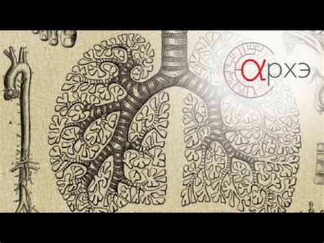Никита Жуков: Презентация книги "Модицина 2. Апология." - YouTube