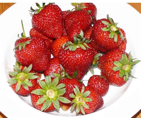 Strawberries Backup Made The Silver Lining Tending My Garden