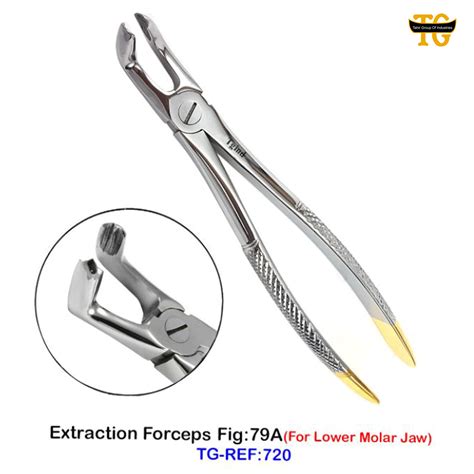Extraction Forcep Tahir Group Of Industries