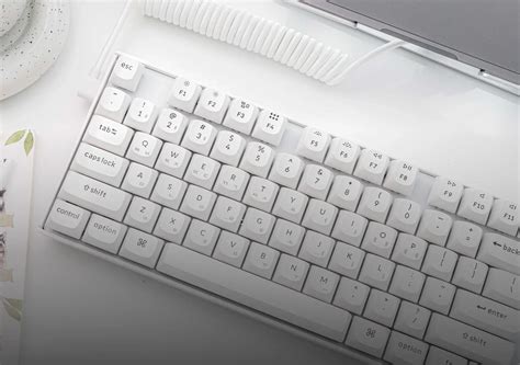 키크론 K2 레트로 알루미늄 핫스왑 적축 무선 기계식 키보드 Keychron K2 Retro 맥용 기계식 키보드