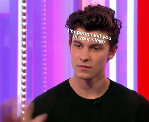 Pin De Maureen Louise En Shawn Mendes U2665ufe0f Shawn Mendes Memes