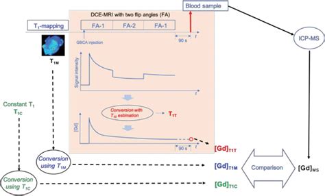 Workflow Of The Experiment The Schematic Describes The Experimental