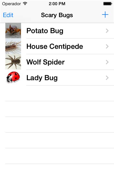 Ios Tutorial How To Create A Simple Iphone App Part 13 Kodeco The