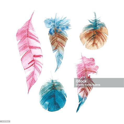 손으로 그린된 수채화 그림 활기찬 깃털의 집합입니다 Boho 및 Rustik 스타일 날개입니다 수채화 그림 흰색 배경에 고립입니다 T셔츠 초대장 웨딩 카드에 대 한 새