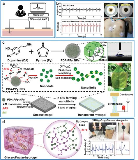 PDAbased Flexible Electrophysiological Sensors A The Assembly Of Download Scientific Diagram