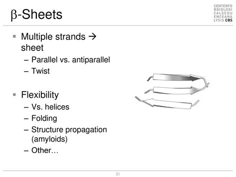 Introduction To Protein Structure Ppt Download
