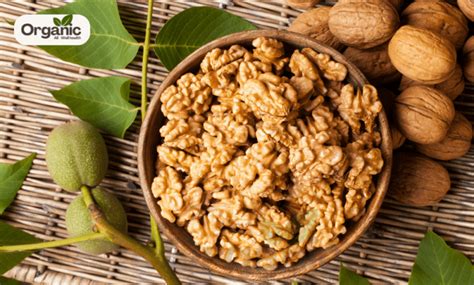 Walnut Benefits 10 स्वास्थ्य लाभ और पोषण तथ्य