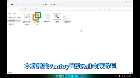 『ventoy』启动kali linux安装教程（完整版14分钟） 哔哩哔哩