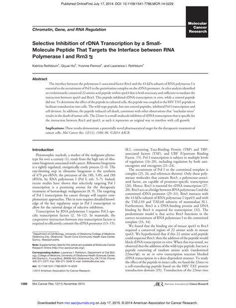 Pdf Selective Inhibition Of Rdna Transcription By A Small Molecule