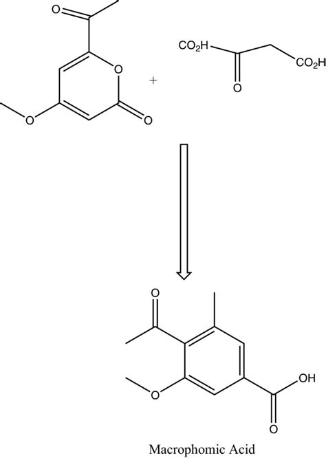 Biosynthesis—approaches And Strategies Springer Nature Link